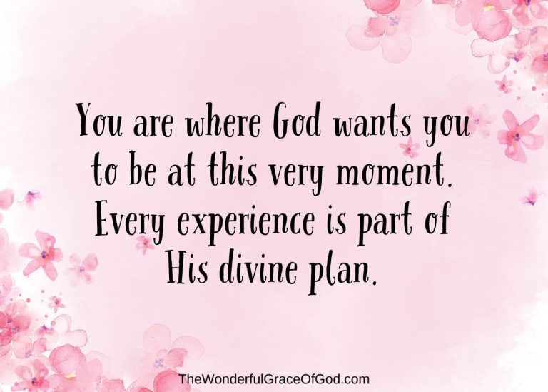 Top 23 God's Plan Quotes & Bible Verses - The Wonderful Grace of God