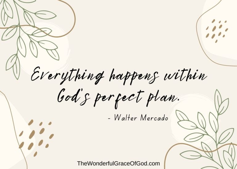 Top 23 God's Plan Quotes & Bible Verses - The Wonderful Grace of God