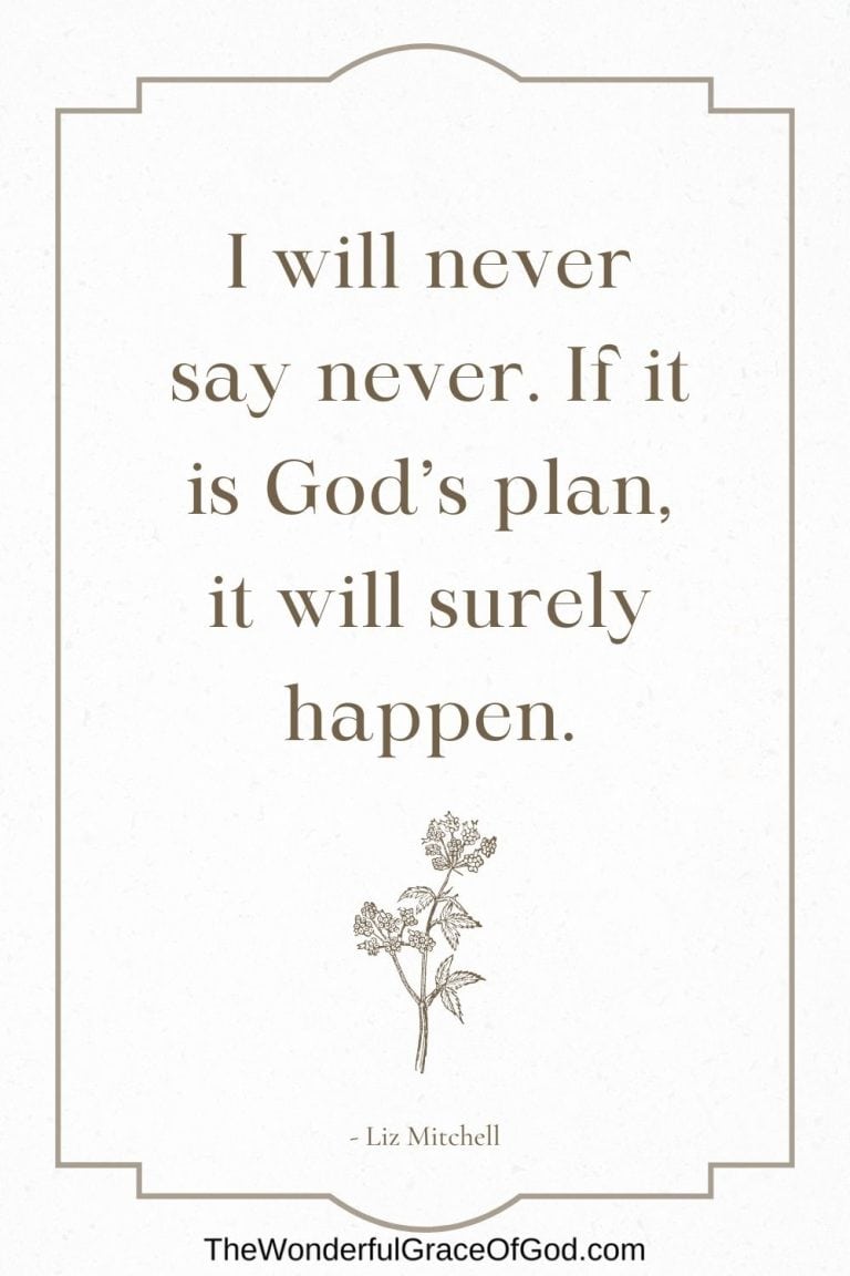 Top 23 God's Plan Quotes & Bible Verses - The Wonderful Grace of God
