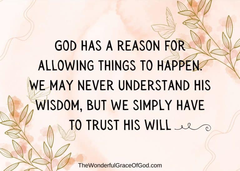 Top 23 God's Plan Quotes & Bible Verses - The Wonderful Grace of God