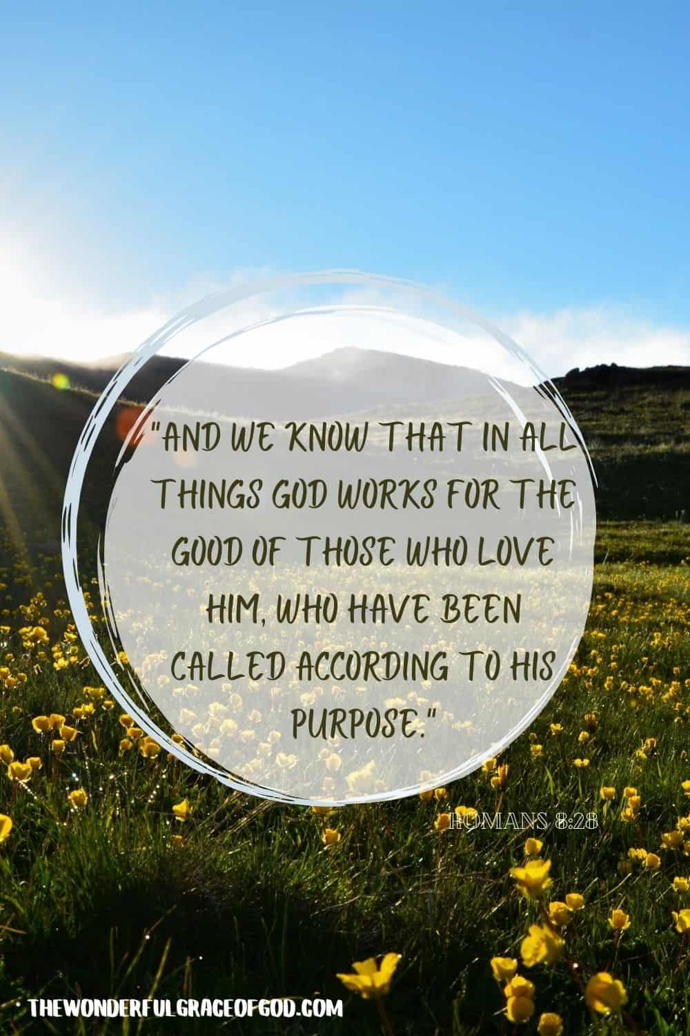 55 Comforting Bible Verses for Cancer Patients - The Wonderful Grace of God