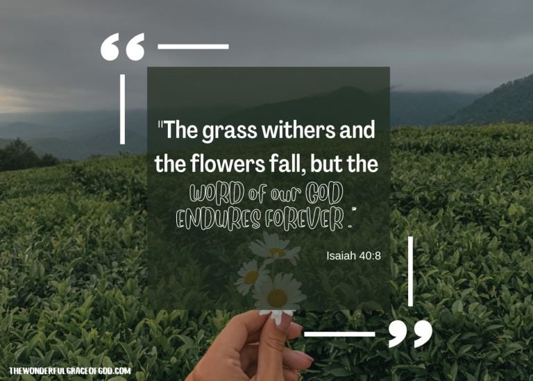 Top 25 Bible Verses About Beauty - The Wonderful Grace of God